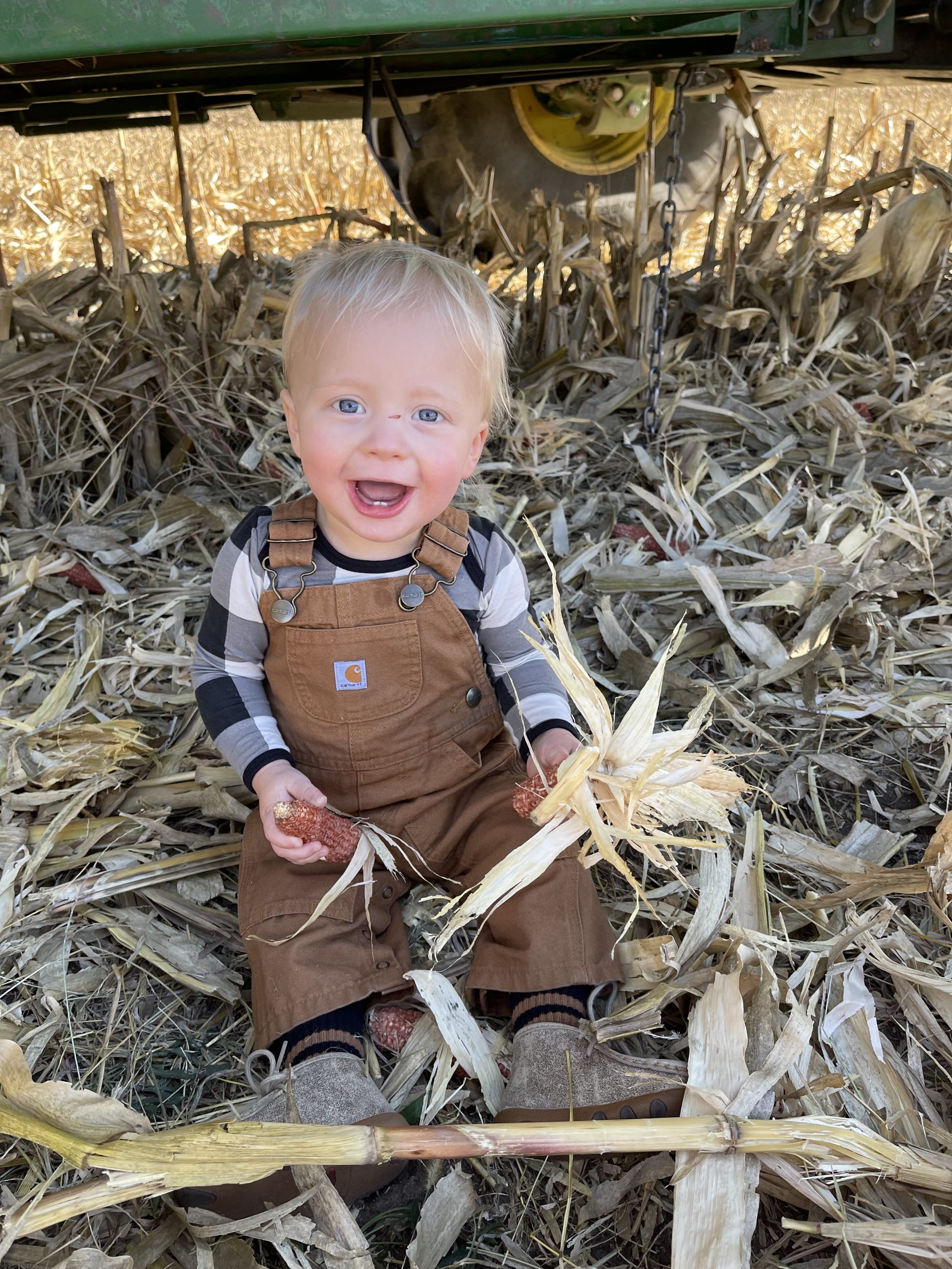 Farming – PG Farms Inc